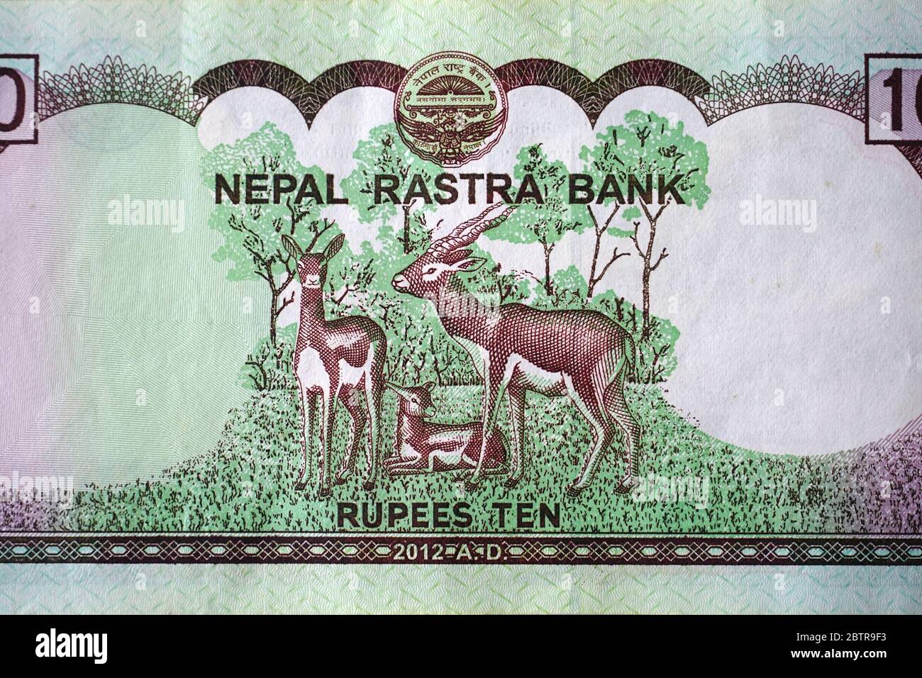 Indian ten rupee note hi-res stock photography and images - Alamy