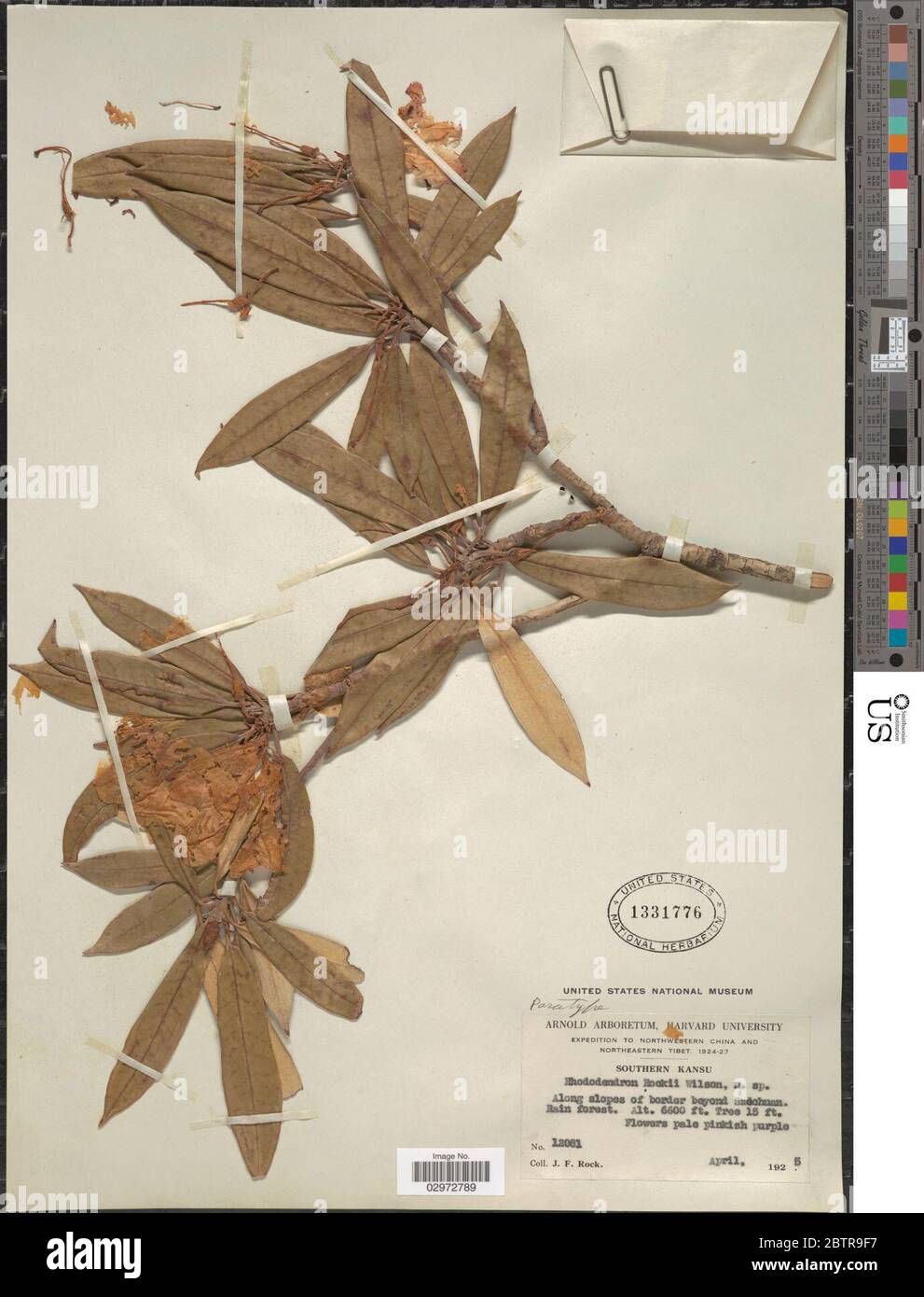 Eh u hi-res stock photography and images - Alamy