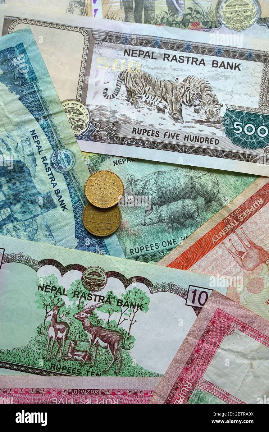 Rupie del nepal hi-res stock photography and images - Alamy