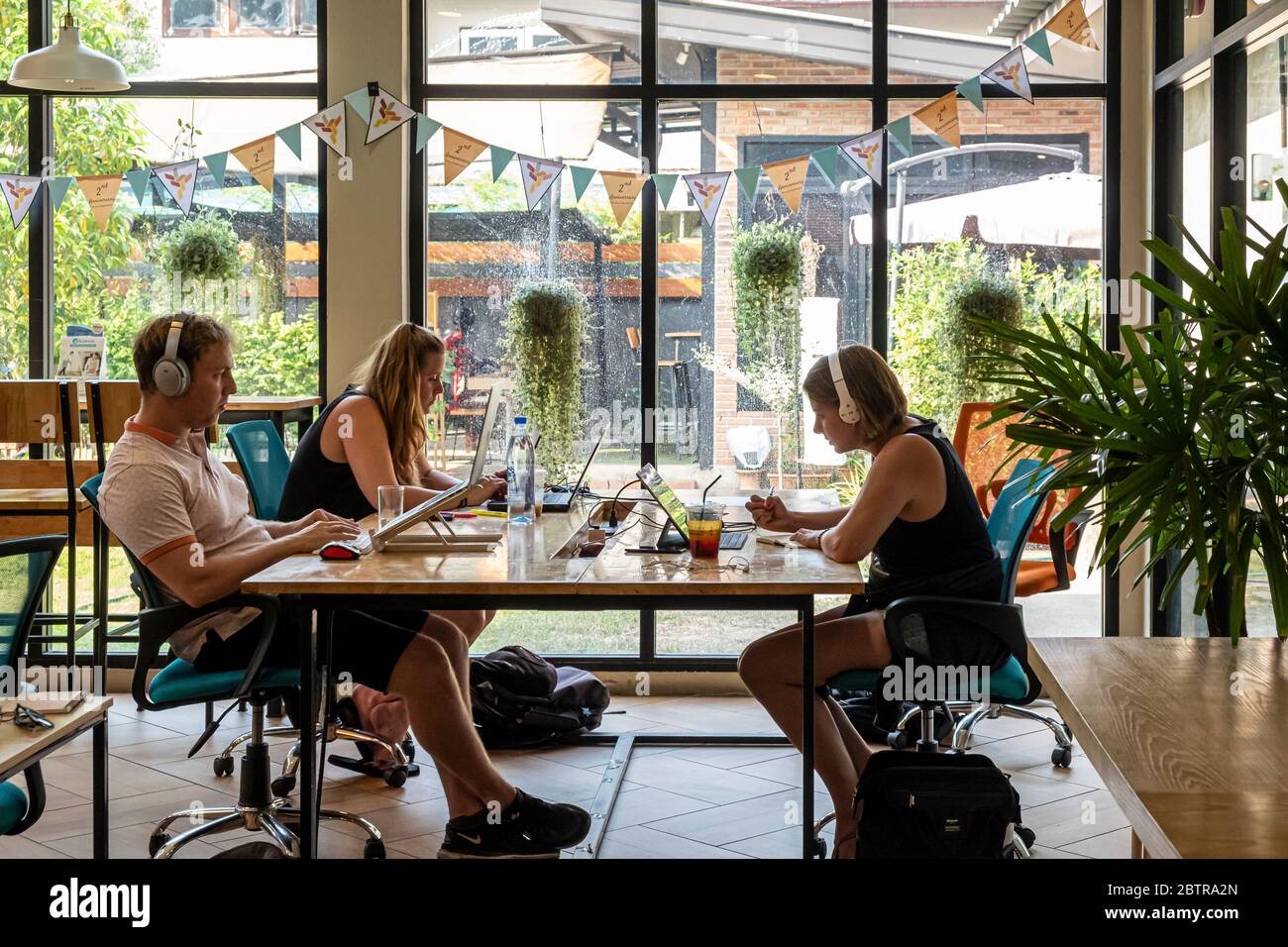 Three people working on laptops at a coworking space Stock Photo - Alamy