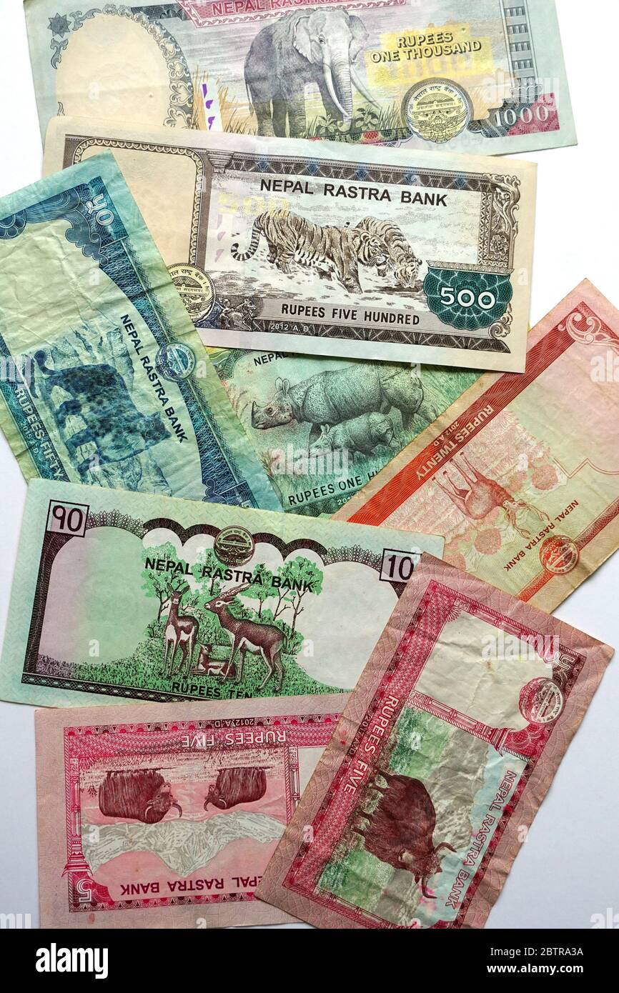 Nepalesische rupie hi-res stock photography and images - Alamy