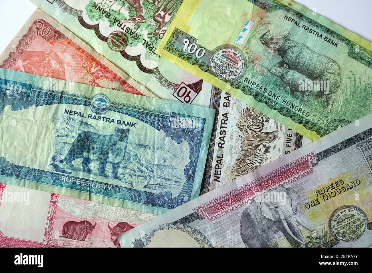 Nepalese rupee note nepal money hi-res stock photography and images - Alamy