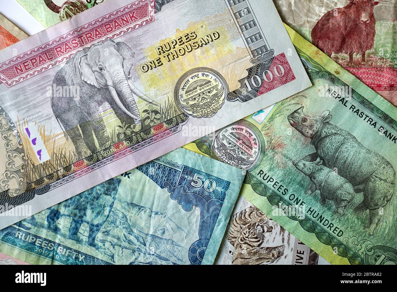 Rupie banknote hi-res stock photography and images - Alamy