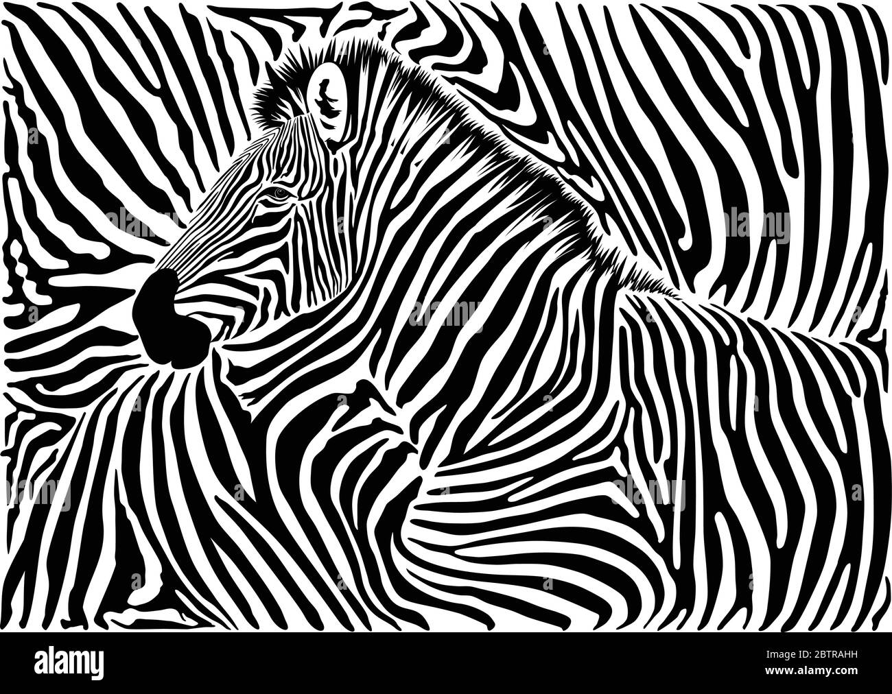 Background with a zebra motif Stock Vector Image & Art - Alamy