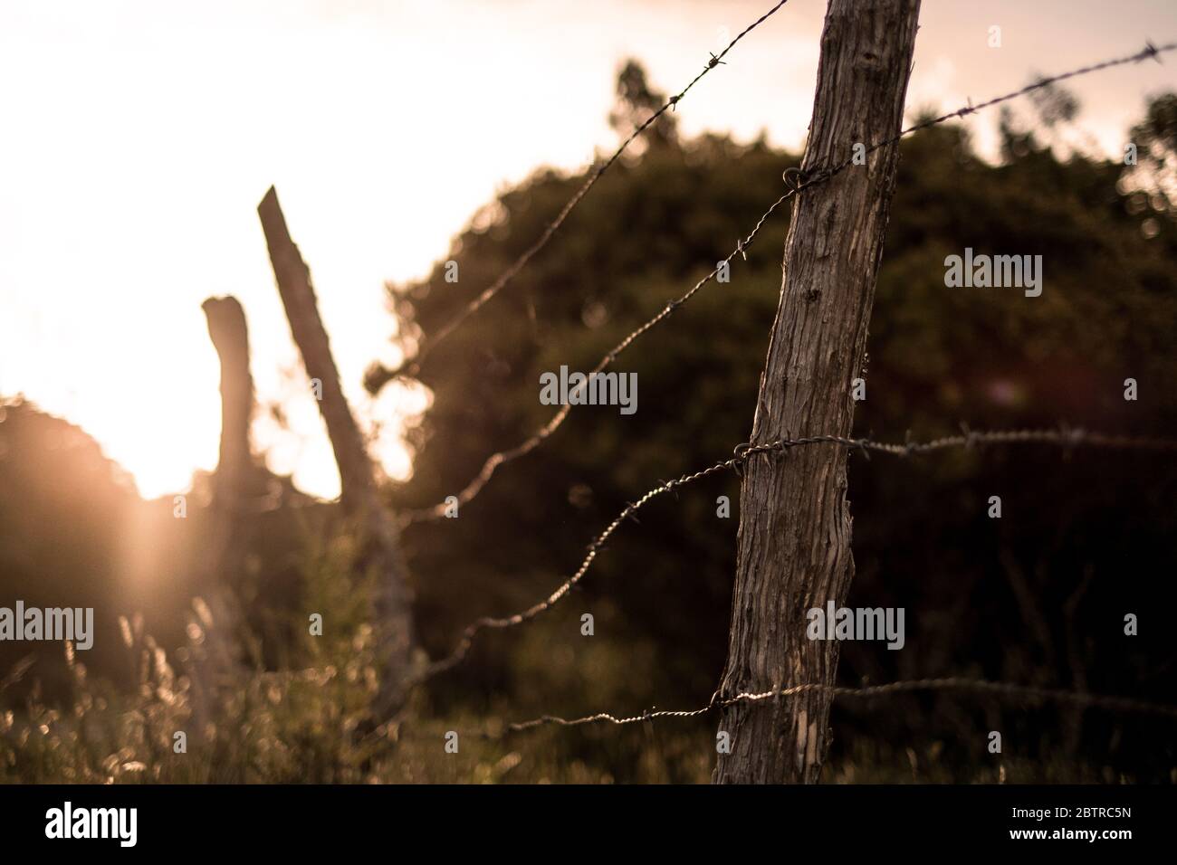 Old countryside wood and wire fence Stock Photo - Alamy