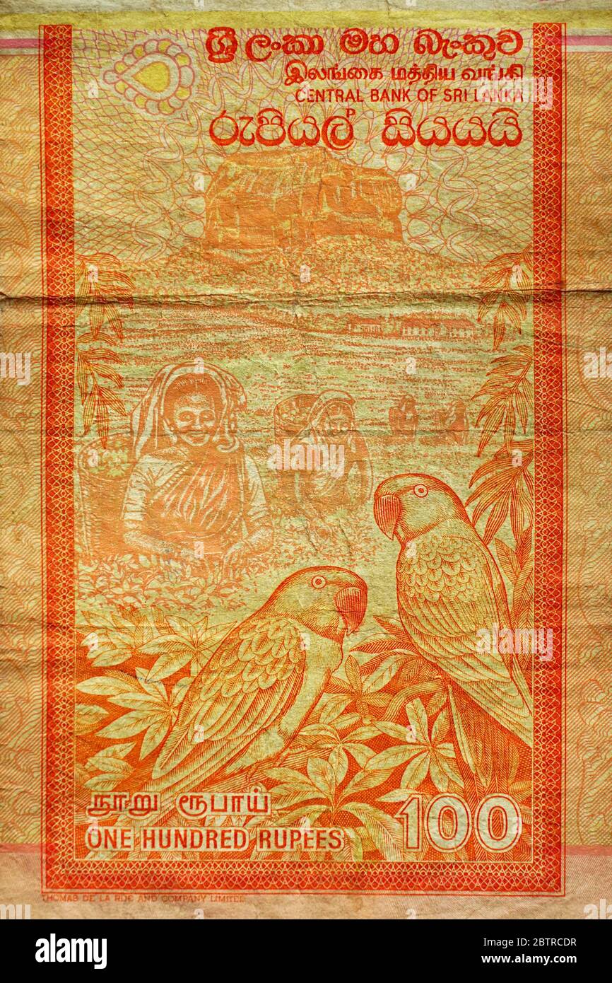one hundred rupees, Sri Lankan rupee, Sri-Lanka-Rupie, LKR, Sri Lanka ...