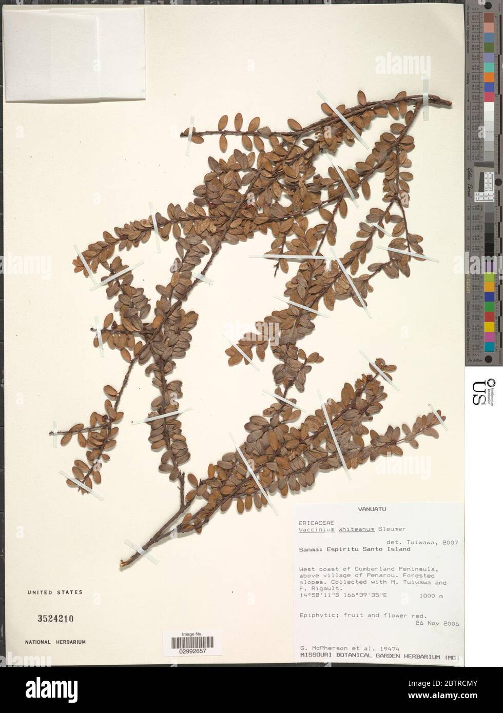 Sleumer High Resolution Stock Photography and Images - Alamy