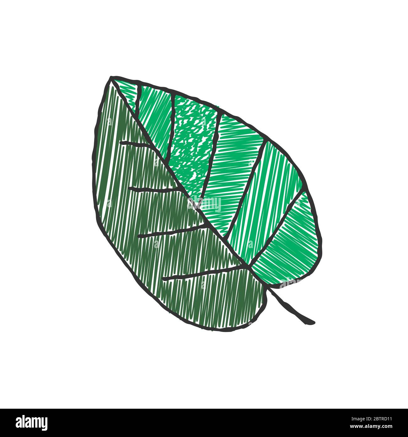 Vector color shaded outline of a plant leaf. Hand-drawn Doodle style ...