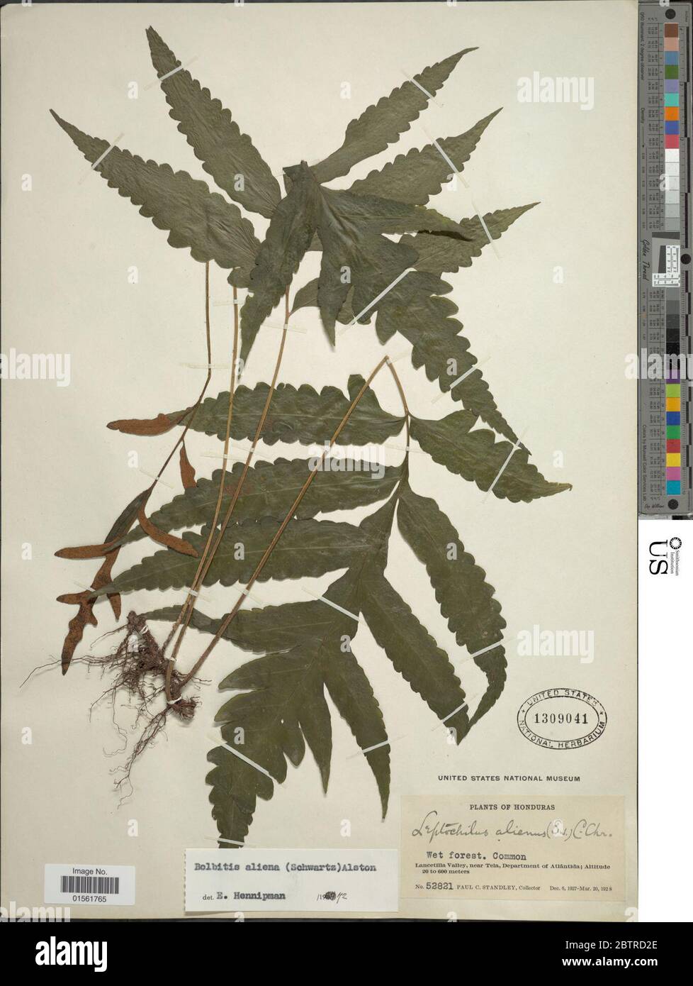 Aliena hi-res stock photography and images - Alamy