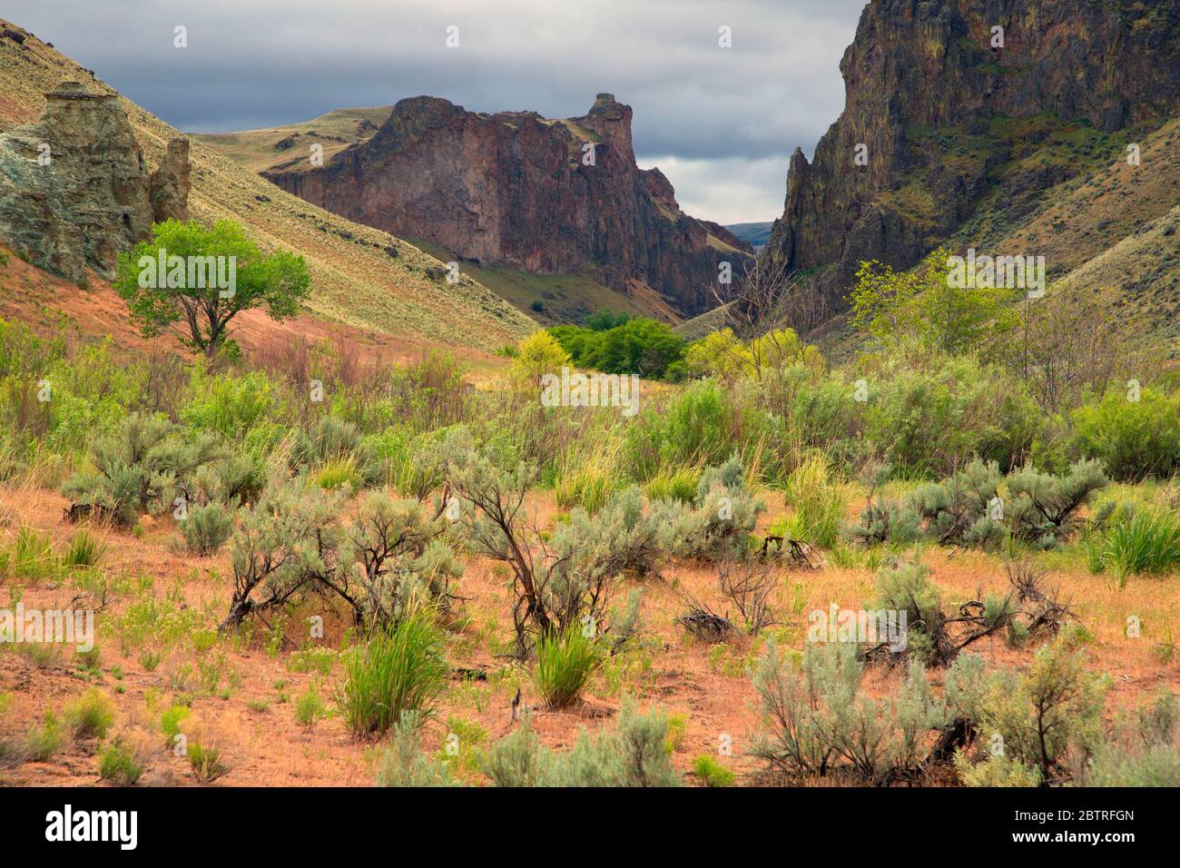 Succor Creek canyon, Succor Creek State Park, Oregon Stock Photo - Alamy