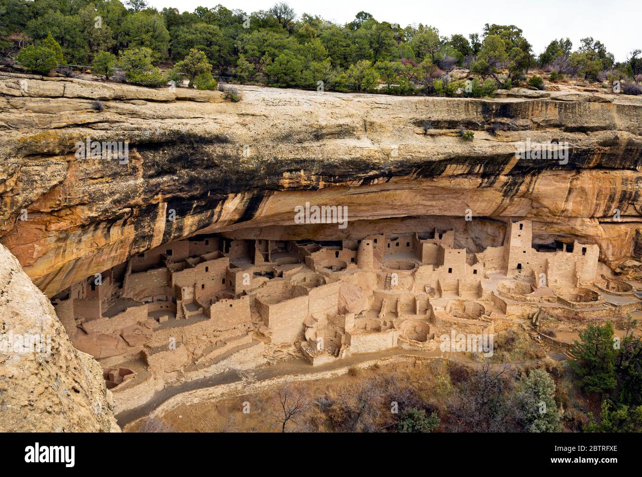 CO00234-00....COLORADO - Cliff Palace alcove village built by the ...