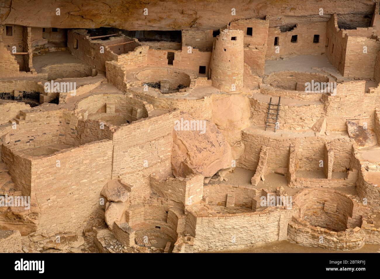 CO00235-00....COLORADO - Cliff Palace alcove village built by the ...