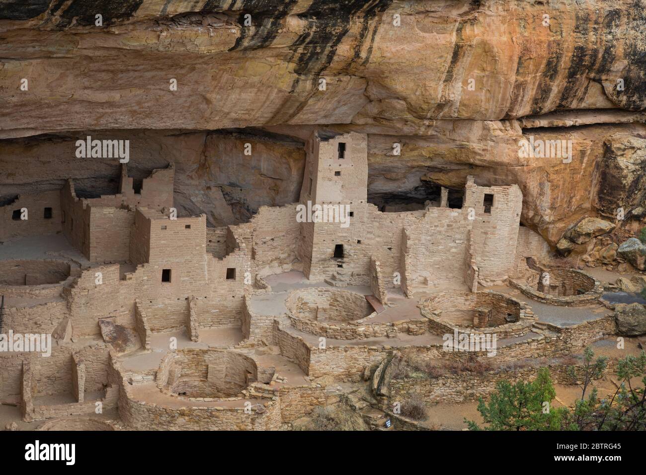CO00236-00....COLORADO - Cliff Palace alcove village built by the ...