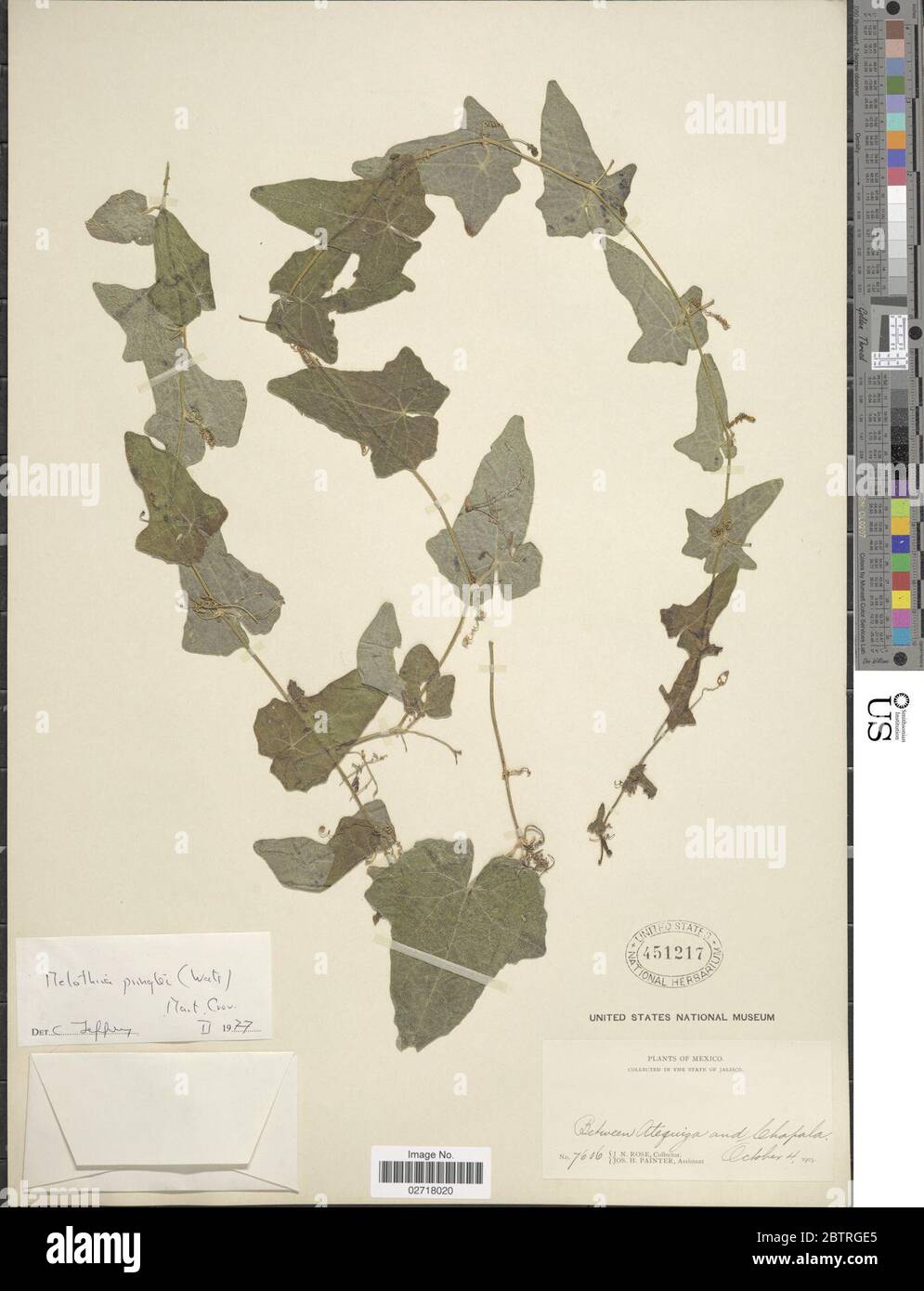 S mart hi-res stock photography and images - Alamy