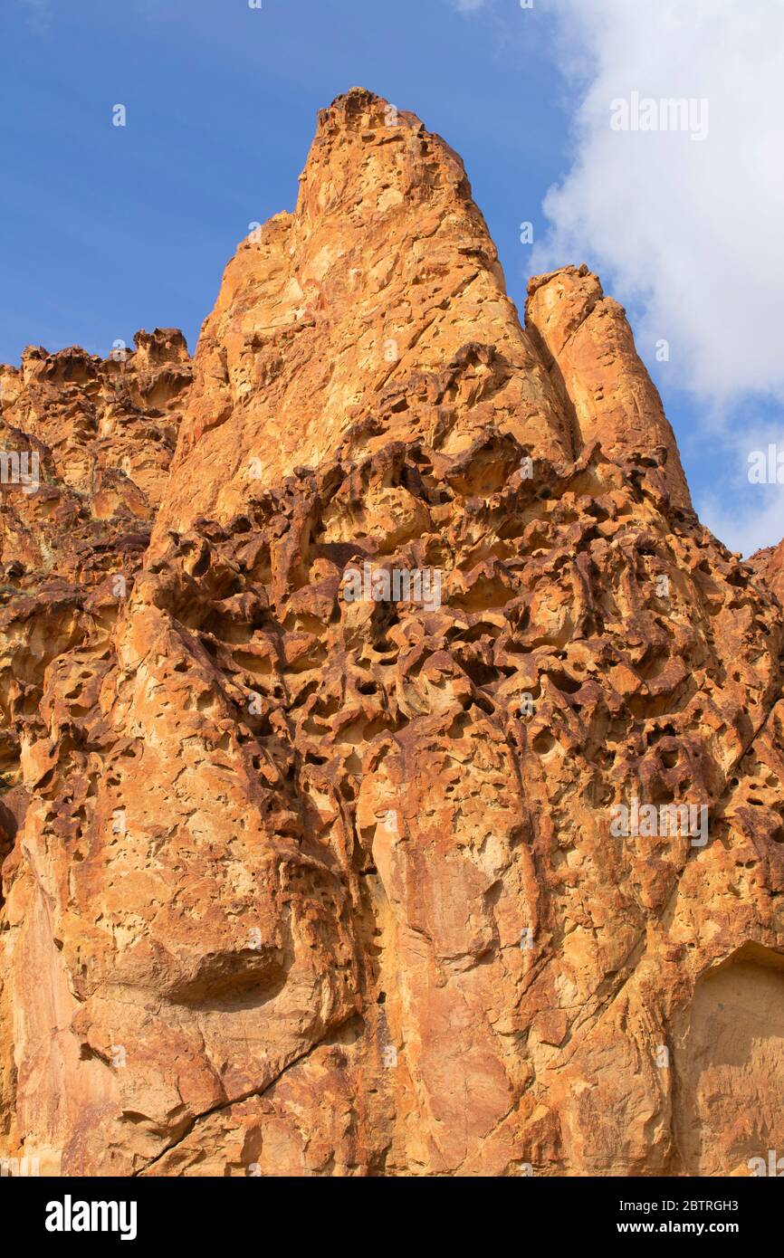 Timber Gulch cliffs, Honeycombs Wilderness Study Area, Leslie Gulch ...