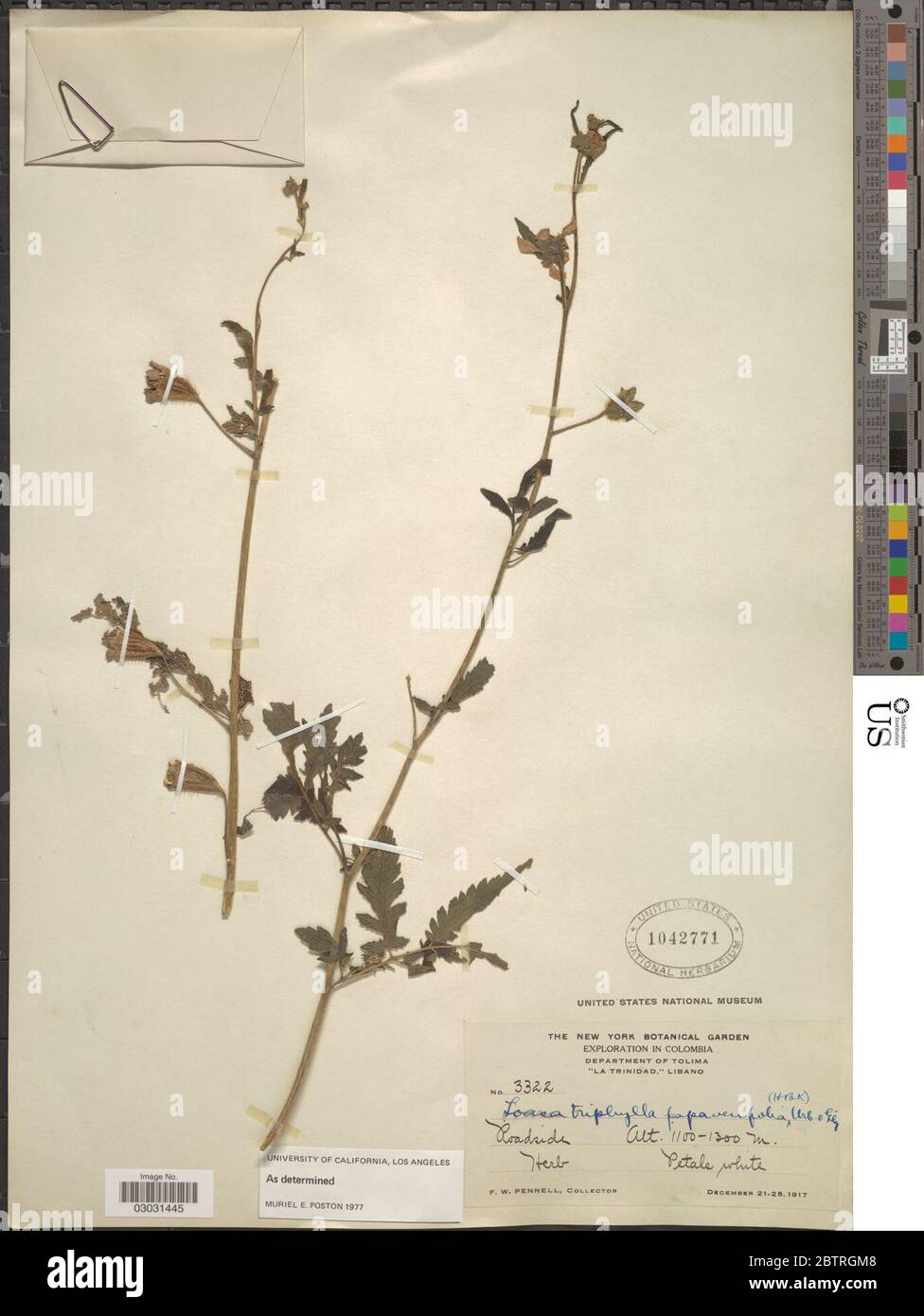 Weigand High Resolution Stock Photography and Images - Alamy