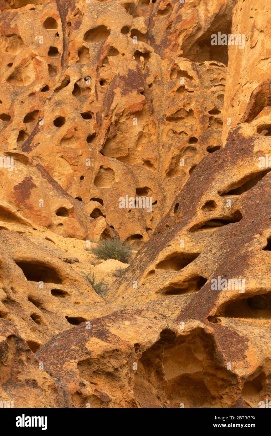 Timber Gulch cliffs, Honeycombs Wilderness Study Area, Leslie Gulch ...