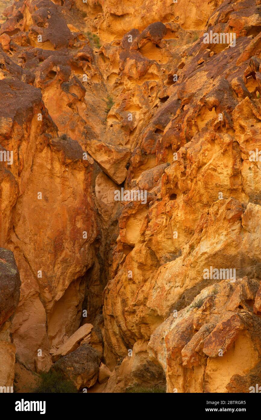 Timber Gulch cliffs, Honeycombs Wilderness Study Area, Leslie Gulch ...