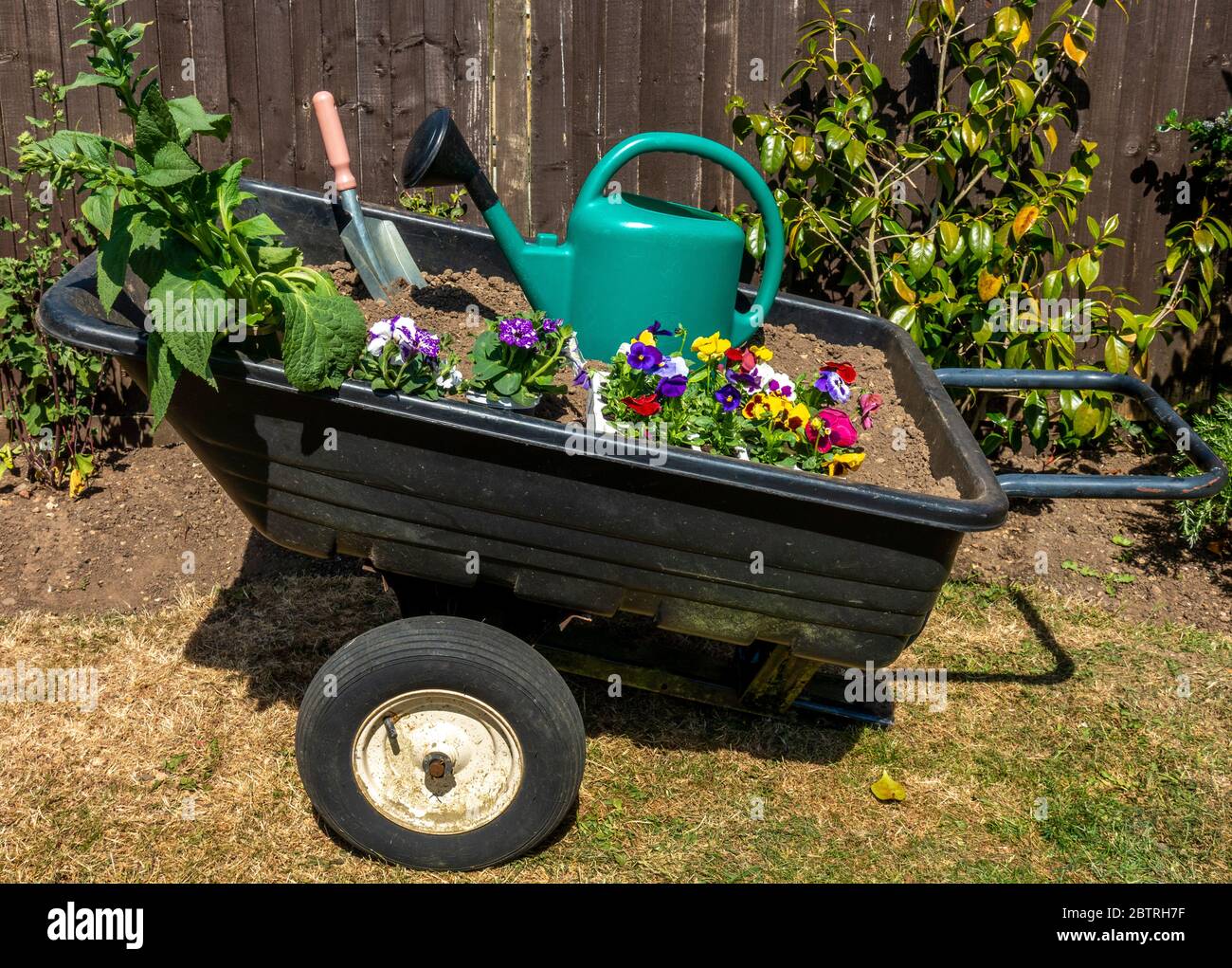 Wheelbarrow full of soil in bright sunshine, ready for gardening work ...