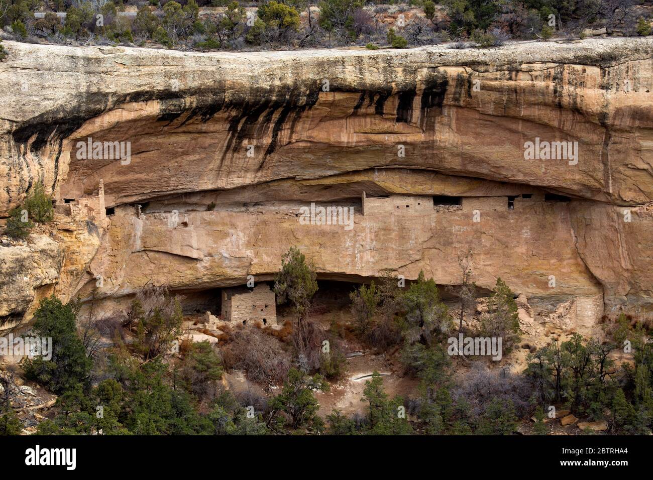 CO00247-00...COLORADO - A cliff dwelling built by the Ancestral ...