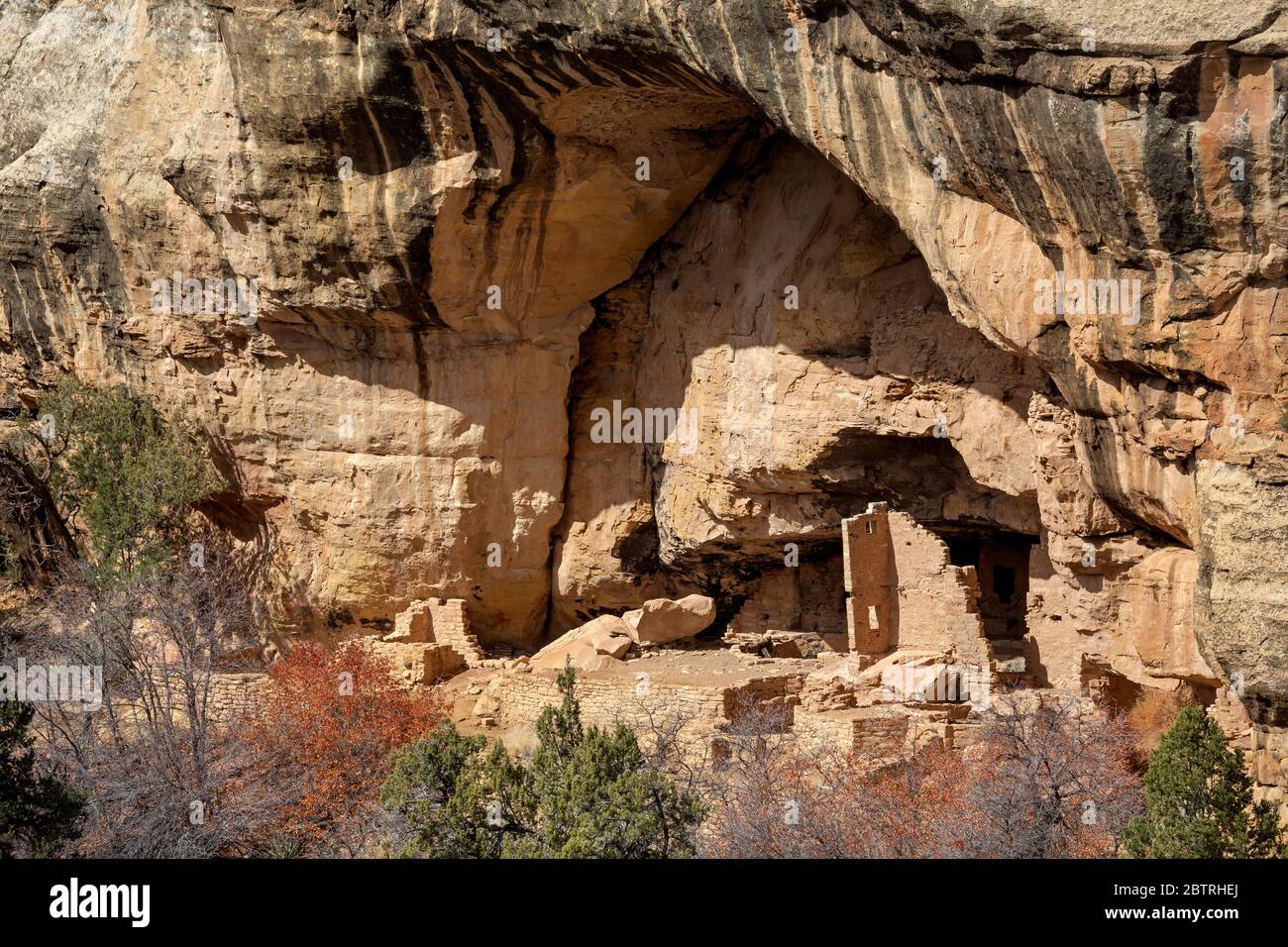 CO00248-00...COLORADO - 700 year old ruins of Oak Tree House and ...