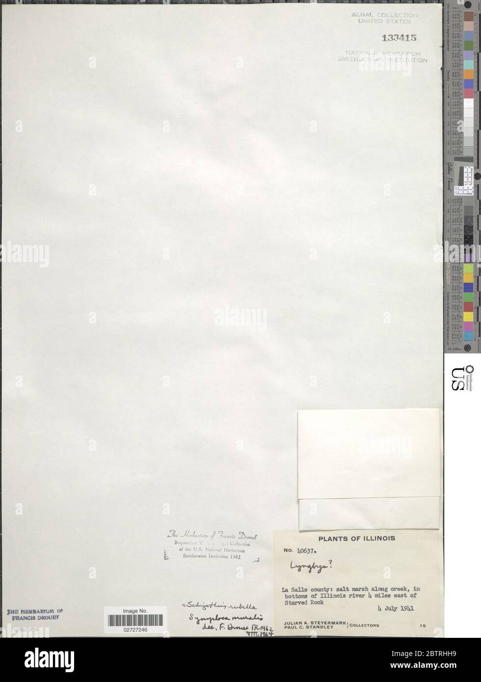 Schizothrix hi-res stock photography and images - Alamy