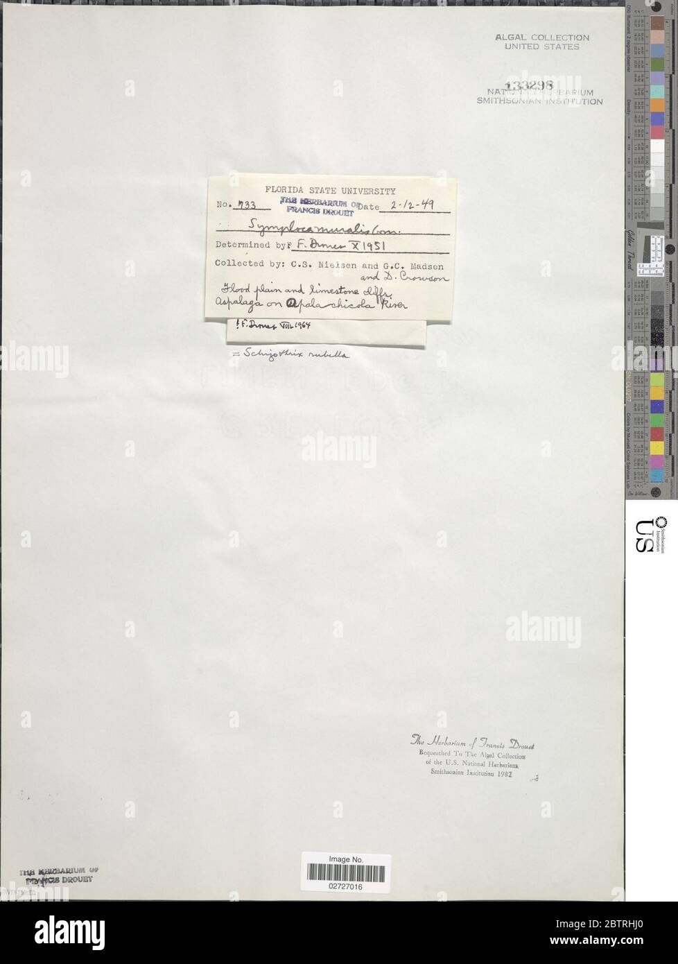 Schizothrix hi-res stock photography and images - Alamy