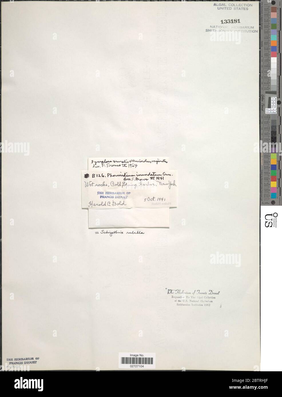 Schizothrix hi-res stock photography and images - Alamy