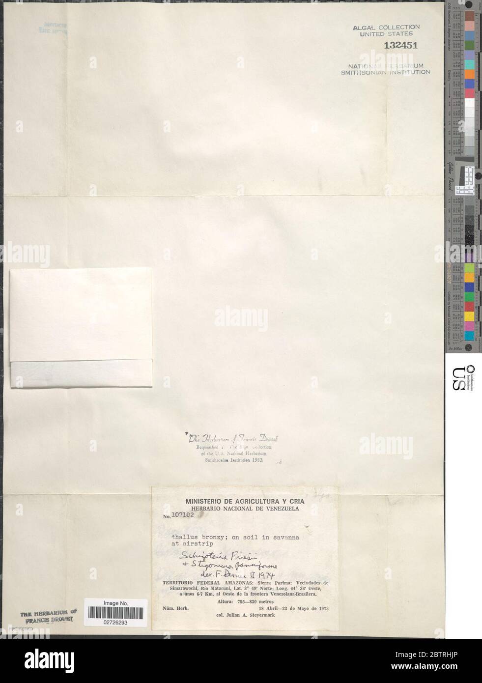 Schizothrix hi-res stock photography and images - Alamy