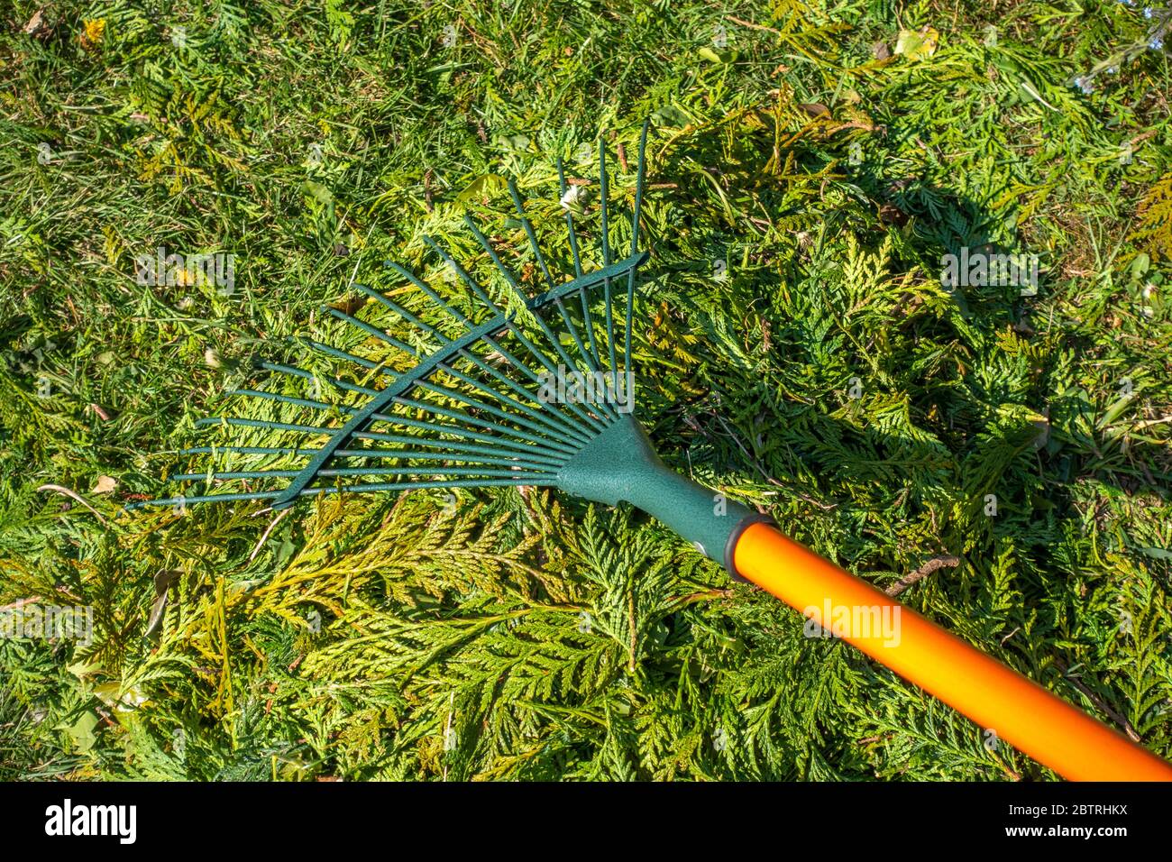 Closeup shot of a lawn rake being used to gather together a pile of ...