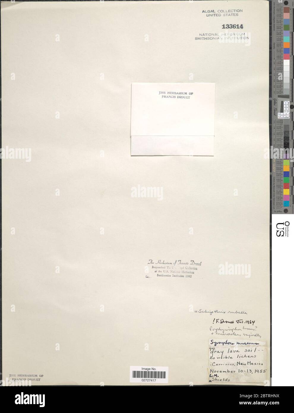 Schizothrix hi-res stock photography and images - Alamy