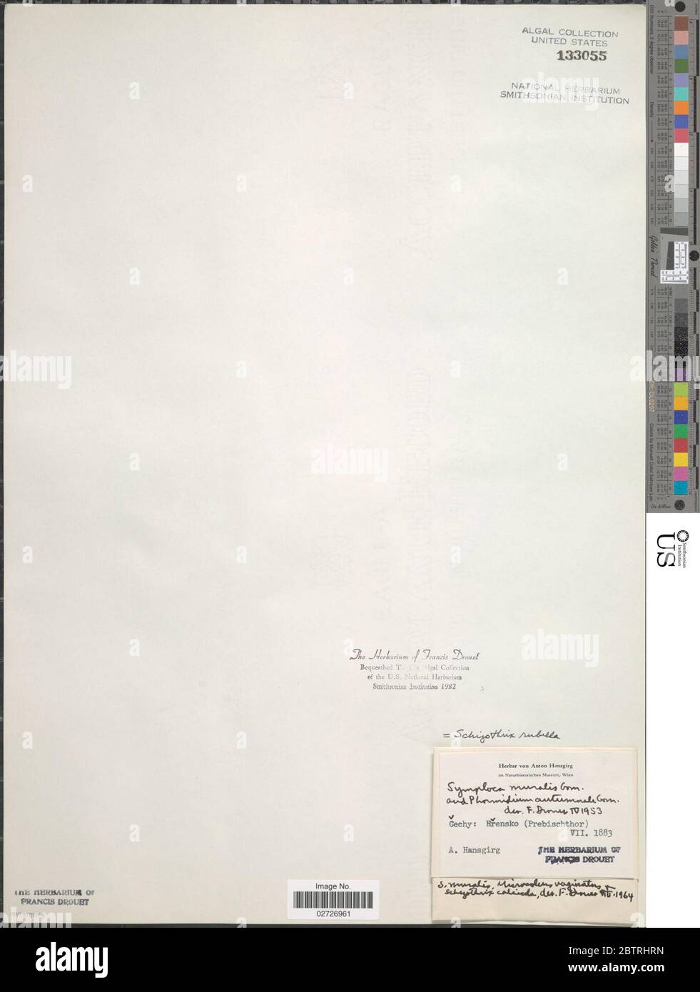 Schizothrix hi-res stock photography and images - Alamy