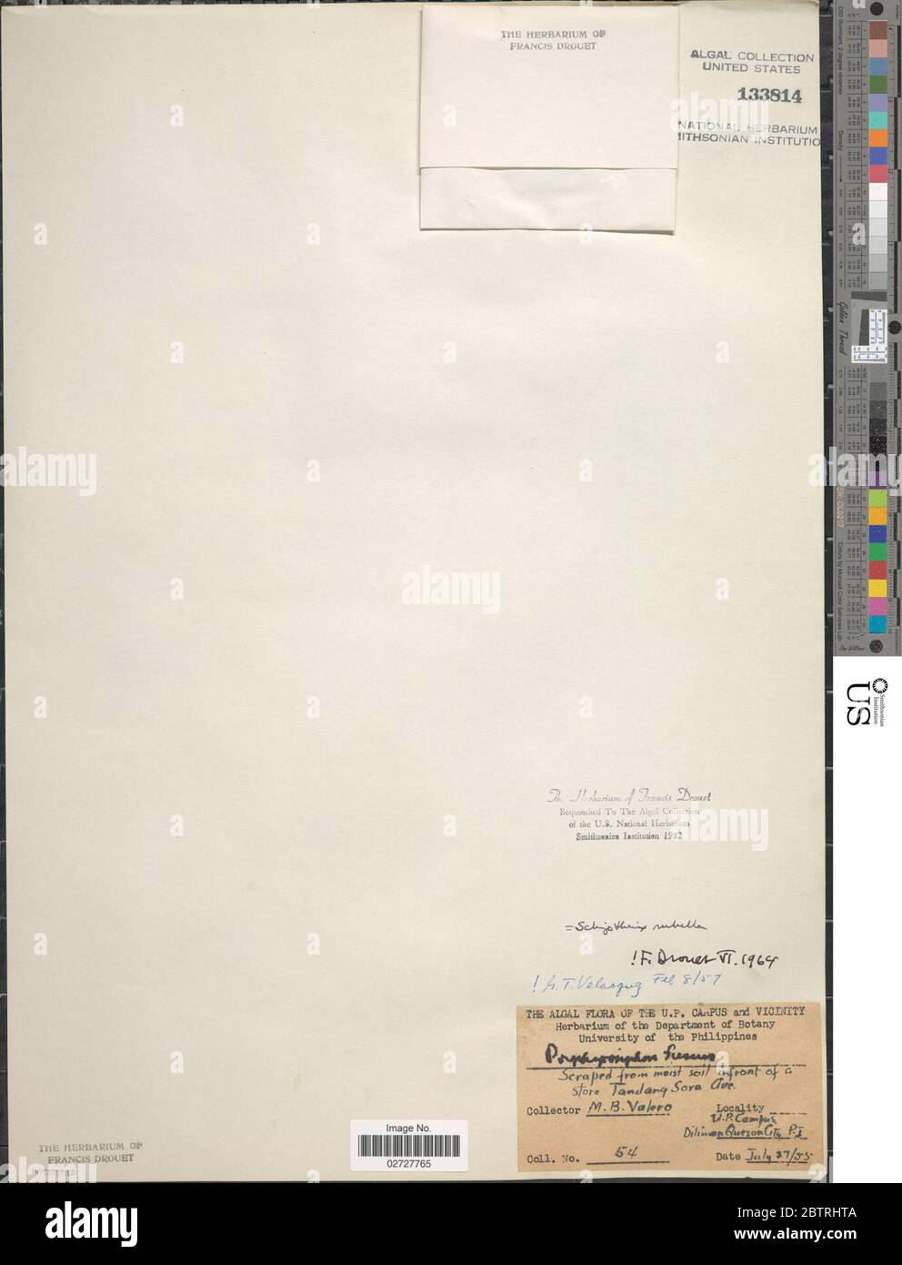 Schizothrix hi-res stock photography and images - Alamy