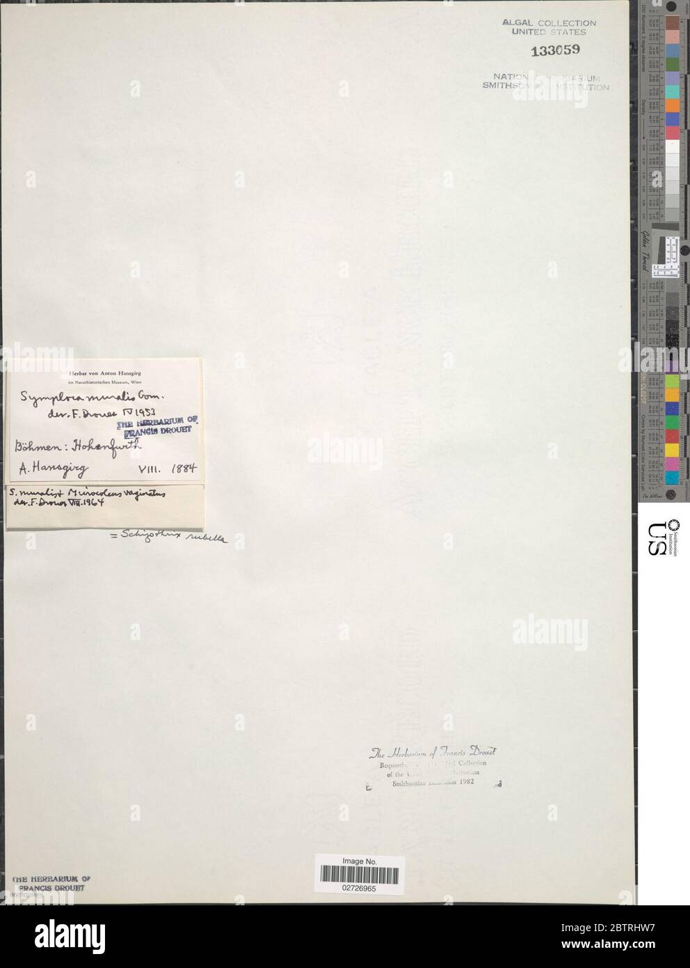 Schizothrix hi-res stock photography and images - Alamy