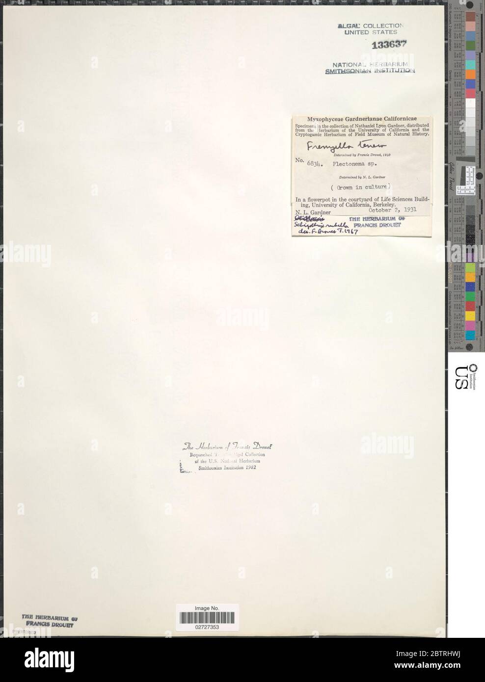 Schizothrix hi-res stock photography and images - Alamy