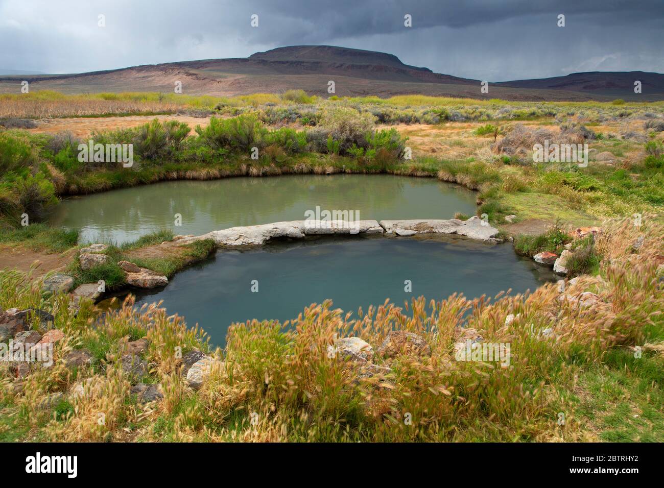 Willow Creek Hot Springs, Vale District Bureau of Land Management ...