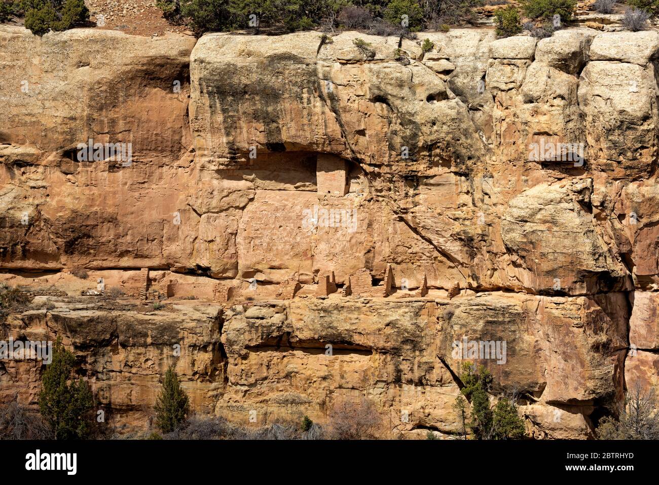 CO00251-00...COLORADO - Ruins of a 700 year old cliff dwelling ...