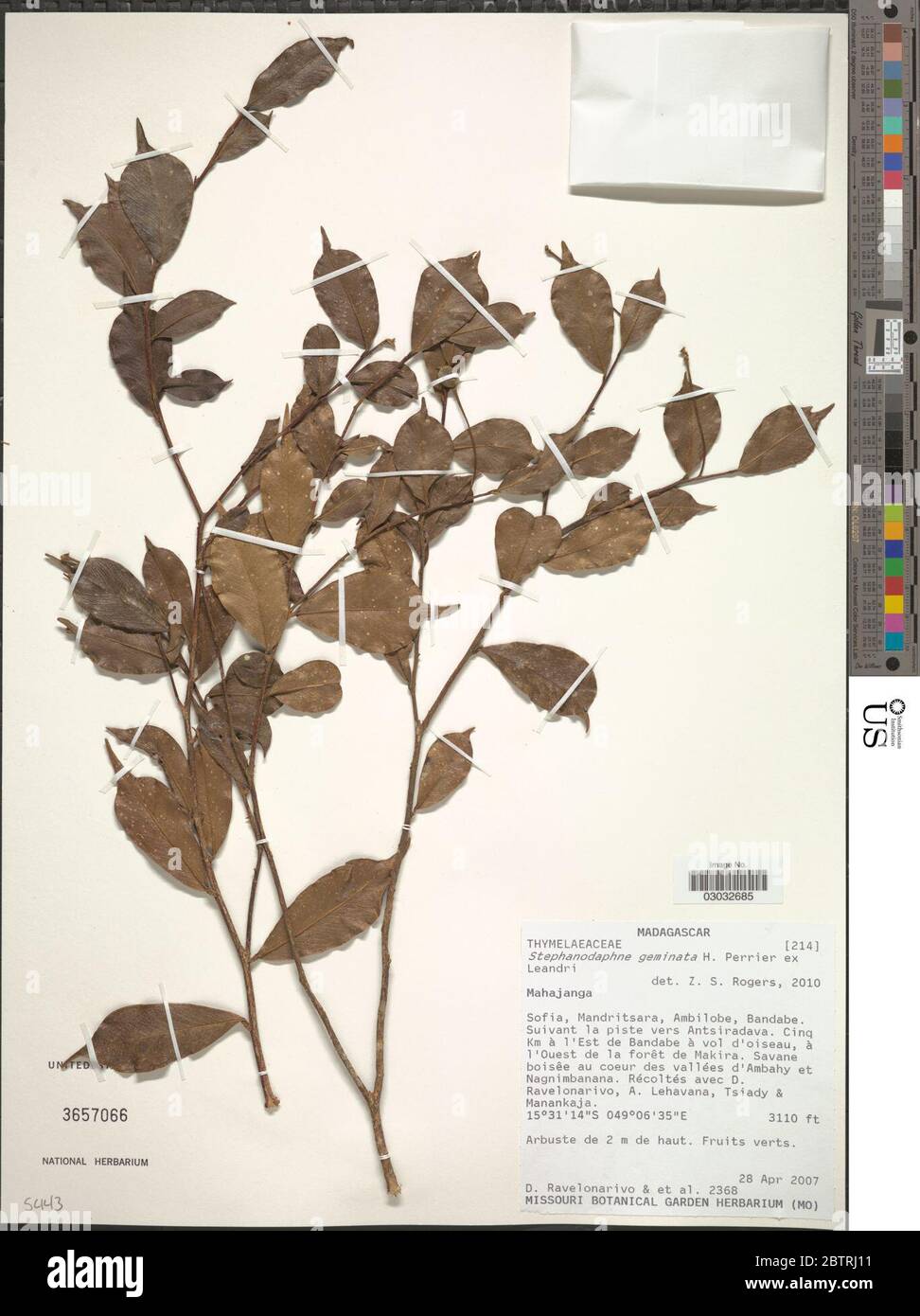 Leandri hi-res stock photography and images - Alamy