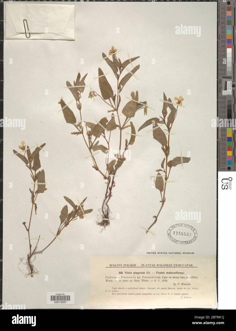 Stagnina hi-res stock photography and images - Alamy