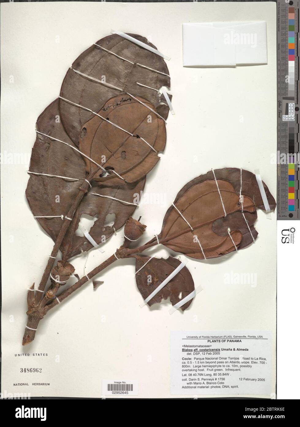 Umaa hi-res stock photography and images - Alamy