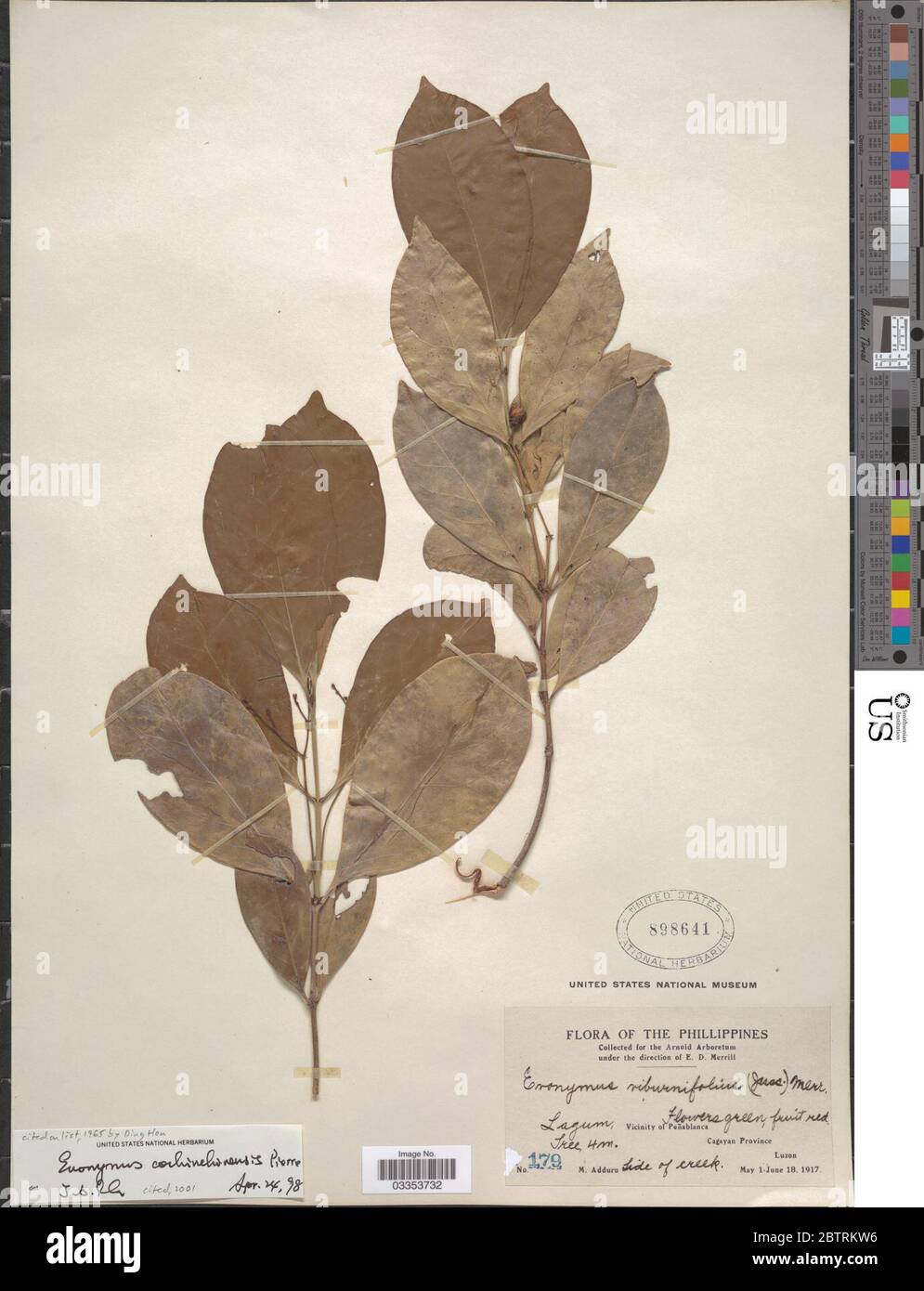 Cochinchinensis hi-res stock photography and images - Alamy