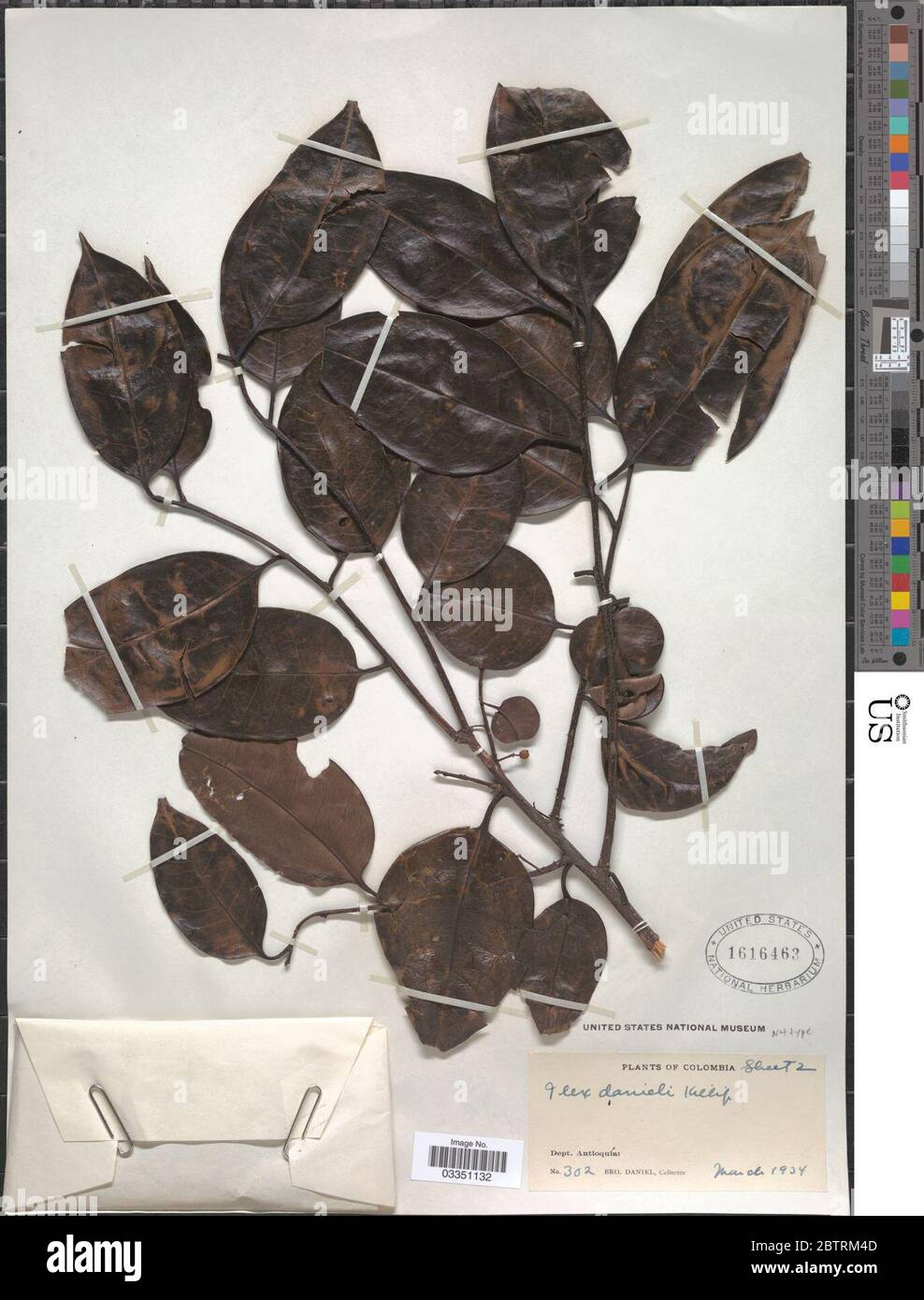 Danielis hi-res stock photography and images - Alamy