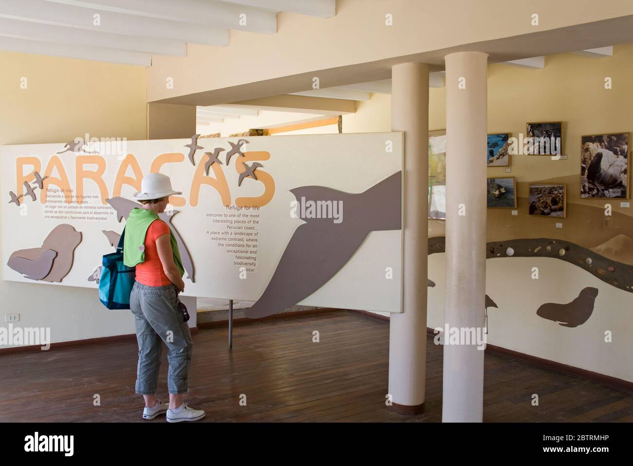 Museum at Reserva Nacional De Paracas, Greater Pisco City, Ica Region ...