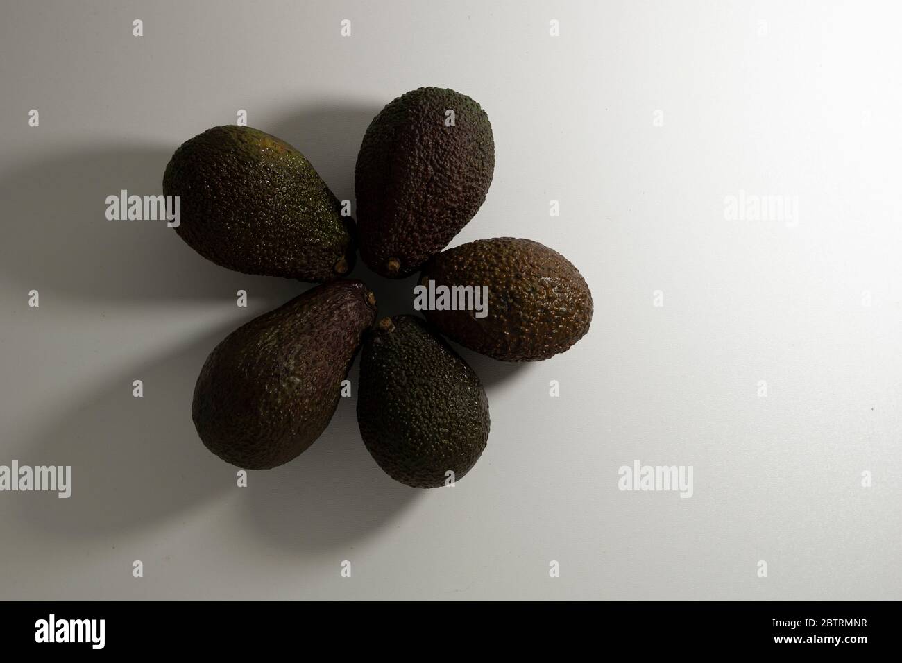 Layout in a circle of avocado fruits. Puebla or Hass Varieties Stock ...