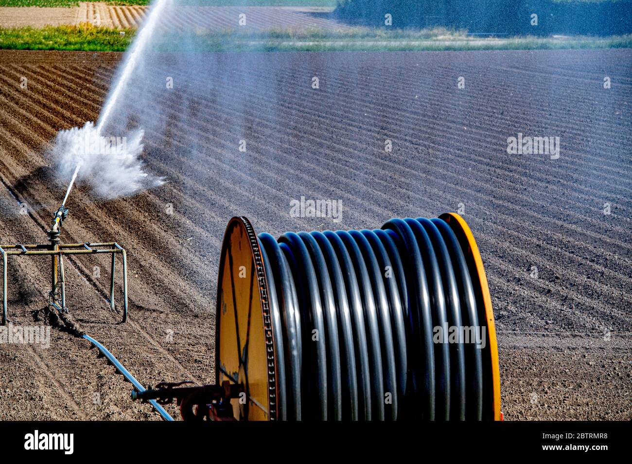 A sprinkler spraying water on the dry ground at Heinenoord fields ...