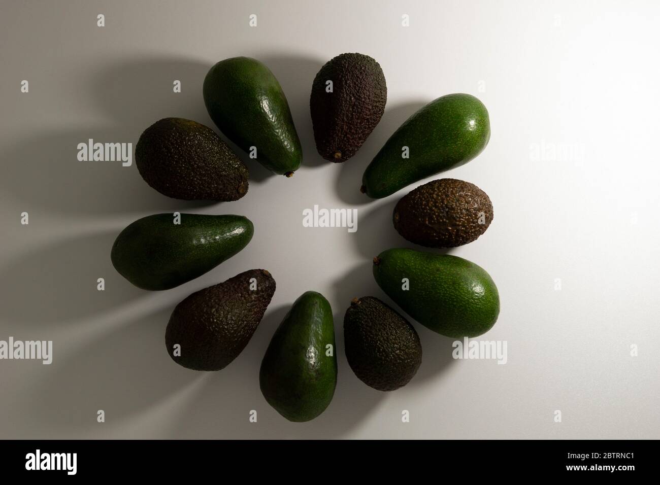 Ripe avocado fruits laid out in a circle. Hass, Pinkerton, Puebla ...