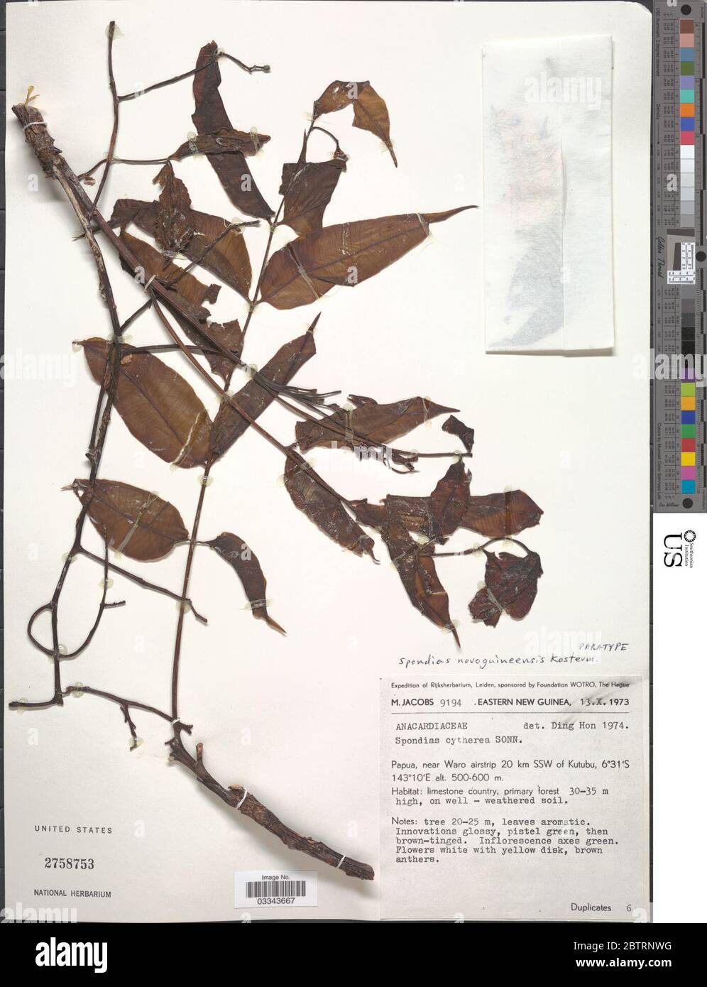 Kosterm hi-res stock photography and images - Alamy