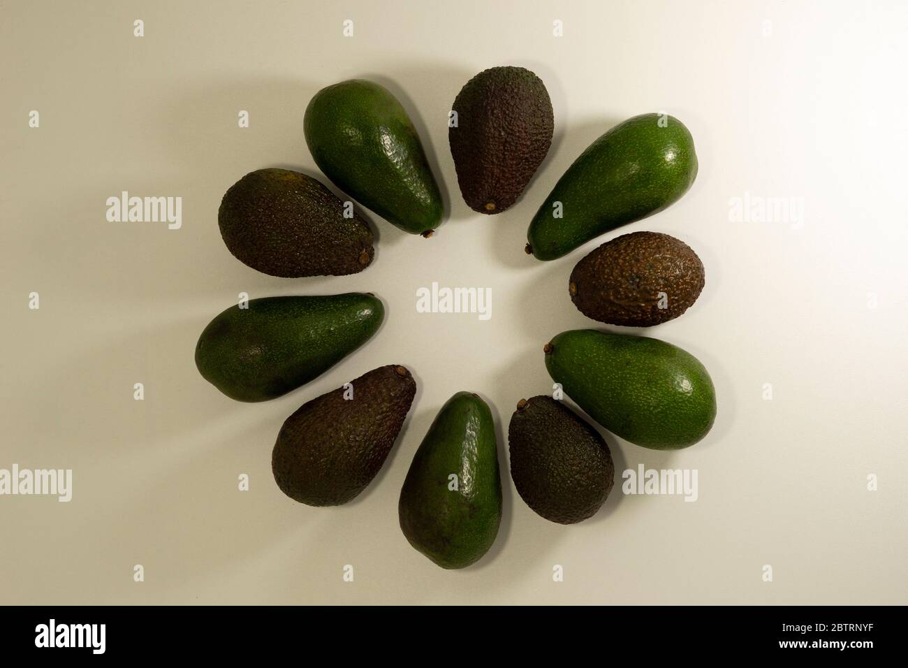 Ripe avocado fruits laid out in a circle. Hass, Pinkerton, Puebla ...