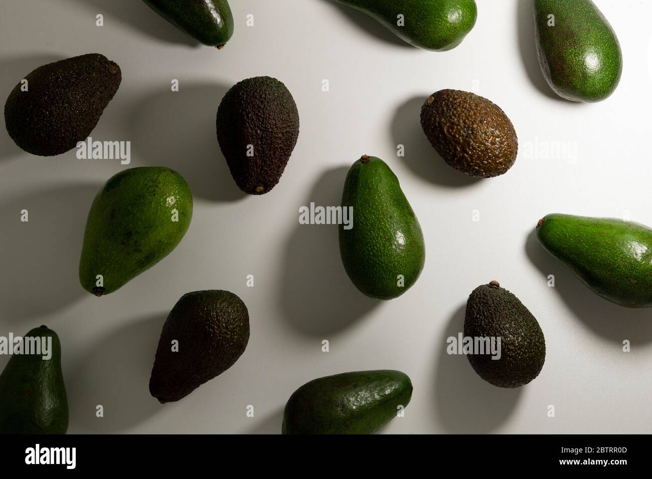 Avocado Fruit Photo Pattern. Hass, Pinkerton, Puebla varieties. Top ...