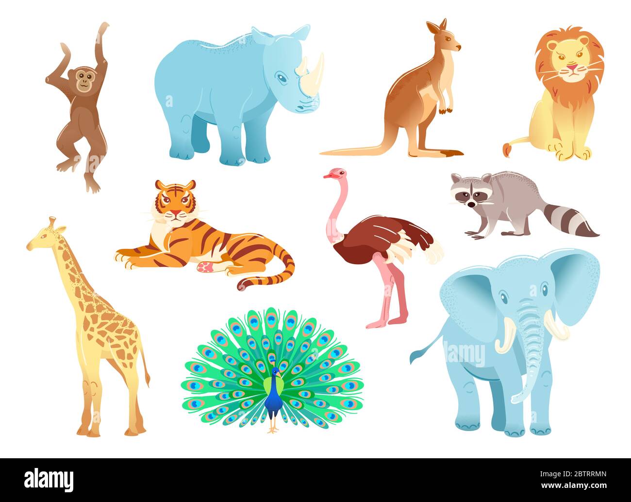 Raccoon drawing Cut Out Stock Images & Pictures - Alamy